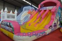 China CE Blower and Repair Accessories Included Fairytale Princess Water Slide Inflatable for sale