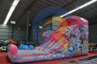 China Playcenter Summer Water Park Pink Princess Inflatable Water Slide with Pool for sale