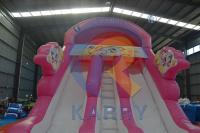 China Playcenter Summer Water Park Pink Princess Inflatable Water Slide with Pool for sale