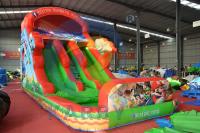 China Cartoon Mario Inflatable Double Slide for Jumping and Swimming Max Capacity 100-500kg for sale