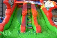 China Cartoon Mario Inflatable Double Slide for Jumping and Swimming Max Capacity 100-500kg for sale