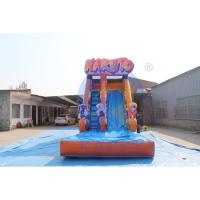 China Shopping Mall Occasion Anime Fan's Backyard Inflatable Water Slide and Pool Combo for sale