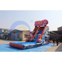 China Shopping Mall Occasion Anime Fan's Backyard Inflatable Water Slide and Pool Combo for sale