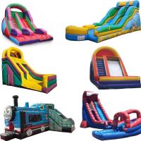 China Bringbringlight Slide Custom Material Wet and Dry Inflatable Water Slides for Event for sale