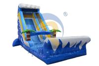 China Commercial Inflatable Dry Slide for Beautiful Outdoor and Indoor Swimming Pool Slide for sale