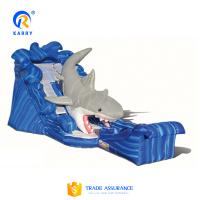 China Outdoor Entertainment Customized Inflatable Bouncy Castle Slide for Entertainment for sale