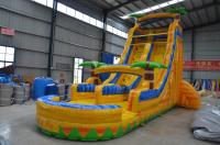 China CE Standard Air Blower Commercial Inflatable Shark Water Slide Pool Combo Rental for sale