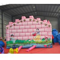 China Chameleon Bounce House and Pink Inflatable Slide for Unisex Trampoline Jump Castle for sale