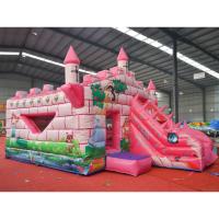 China Chameleon Bounce House and Pink Inflatable Slide for Unisex Trampoline Jump Castle for sale