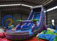 China 2023 Promotion Steep Landslide Magic Palm Tree Water Purple Slide Inflatable with Pool for sale
