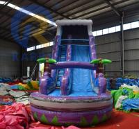 China 2023 Promotion Steep Landslide Magic Palm Tree Water Purple Slide Inflatable with Pool for sale