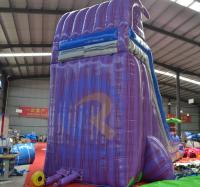 China 2023 Promotion Steep Landslide Magic Palm Tree Water Purple Slide Inflatable with Pool for sale