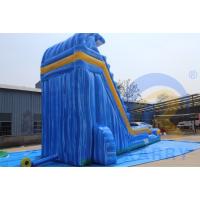 China Customized Color Inflatable Backyard Tropical Marble Blue Water Slide With Swimming Pool Adult for 10 Passengers for sale