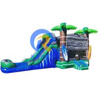 China Unisex Dual Lane Water Slide and Jumping Castle Commercial Inflatable Bounce House for sale