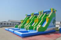 China Unisex Dual Lane Water Slide and Jumping Castle Commercial Inflatable Bounce House for sale