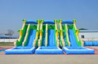 China Unisex Dual Lane Water Slide and Jumping Castle Commercial Inflatable Bounce House for sale