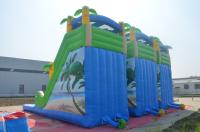 China Unisex Dual Lane Water Slide and Jumping Castle Commercial Inflatable Bounce House for sale