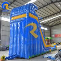 China Outdoor Playground Big Palm Tree Water Slide CE Standard Air Blower Included for sale