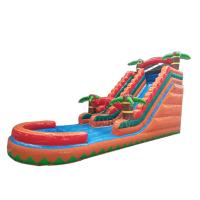 China Kids Outdoor Playground CE Certified Inflatable Palm Tree Water Slide with Pool for sale