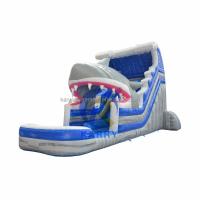 China Unleash Your Inner Shark Commercial Blue Water Slide with Inflatable Shark and Pool for sale