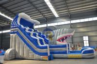 China Unleash Your Inner Shark Commercial Blue Water Slide with Inflatable Shark and Pool for sale