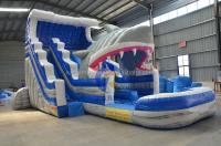 China Unleash Your Inner Shark Commercial Blue Water Slide with Inflatable Shark and Pool for sale