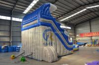 China Unleash Your Inner Shark Commercial Blue Water Slide with Inflatable Shark and Pool for sale