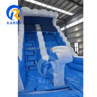 China Gender-Neutral Commercial Backyard Bouncy Castle Marble Tropical Waterslide Water Slide for sale