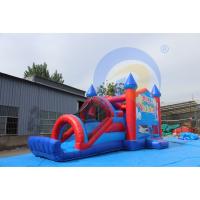 China Portable Inflatable Bouncer Water Play Equipment for Customized Color and Outdoor Fun for sale