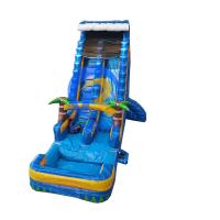China Inflatable 18ft Adult Tropical Backyard Water Slide with Swimming Pool and Palm Tree for sale