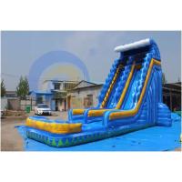 China Inflatable 18ft Adult Tropical Backyard Water Slide with Swimming Pool and Palm Tree for sale