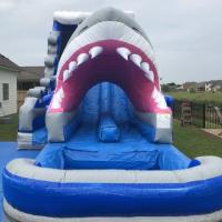 China Popular Inflatable Water Park Equipment Big Blue 3D Shark Water Slides with Swimming Pool for sale
