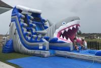 China Popular Inflatable Water Park Equipment Big Blue 3D Shark Water Slides with Swimming Pool for sale
