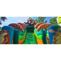 China Customized Color Safari Park Inflatable Bouncer for Children's Fun at Outdoor Park for sale