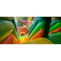 China Customized Color Safari Park Inflatable Bouncer for Children's Fun at Outdoor Park for sale
