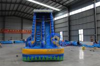 China CE 220v-240v or 110v-120v Customized Size Inflatable Water Slide for Summer Party Fun for sale