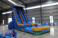 China CE 220v-240v or 110v-120v Customized Size Inflatable Water Slide for Summer Party Fun for sale