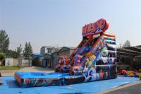 China Commercial PVC Inflatable Equipment Hot-blooded Anime Characters Water Slide with Pool for sale