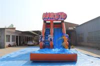 China Commercial PVC Inflatable Equipment Hot-blooded Anime Characters Water Slide with Pool for sale