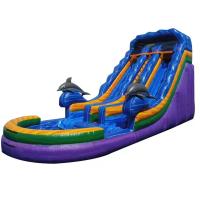 China Express Shipping Unisex Bounce Slider Inflatable Water Slide with Pool Juegos Games for sale