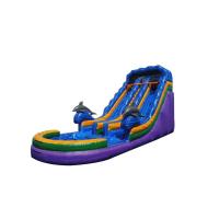 China Express Shipping Unisex Bounce Slider Inflatable Water Slide with Pool Juegos Games for sale