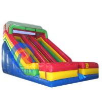 China Commercial Inflatable Tropical Water Slide with Pool The Ultimate Fun Experience for sale