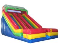 China Commercial Inflatable Tropical Water Slide with Pool The Ultimate Fun Experience for sale