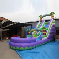 China Special Occasion Inflatable Kids Slide 17FT H Inflatable Water Slide for Shopping Mall for sale