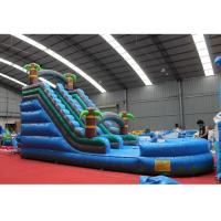 China Customized Inflatable Pool Slides for Outdoor Large Party Rental CE/ROSE Certified for sale