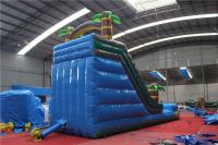China Customized Inflatable Pool Slides for Outdoor Large Party Rental CE/ROSE Certified for sale