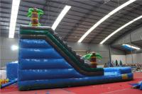 China Customized Inflatable Pool Slides for Outdoor Large Party Rental CE/ROSE Certified for sale