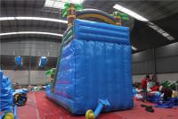 China Customized Inflatable Pool Slides for Outdoor Large Party Rental CE/ROSE Certified for sale