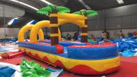 China 0.55mm PVC Tarpaulin Flat Slide Palm Tree Commercial Inflatable Water Slide for Adults for sale