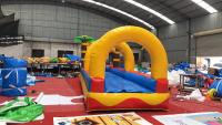 China 0.55mm PVC Tarpaulin Flat Slide Palm Tree Commercial Inflatable Water Slide for Adults for sale